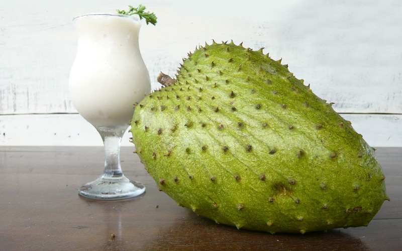 Cancer du sein :: le corrosol, La solution venue de la nature ...