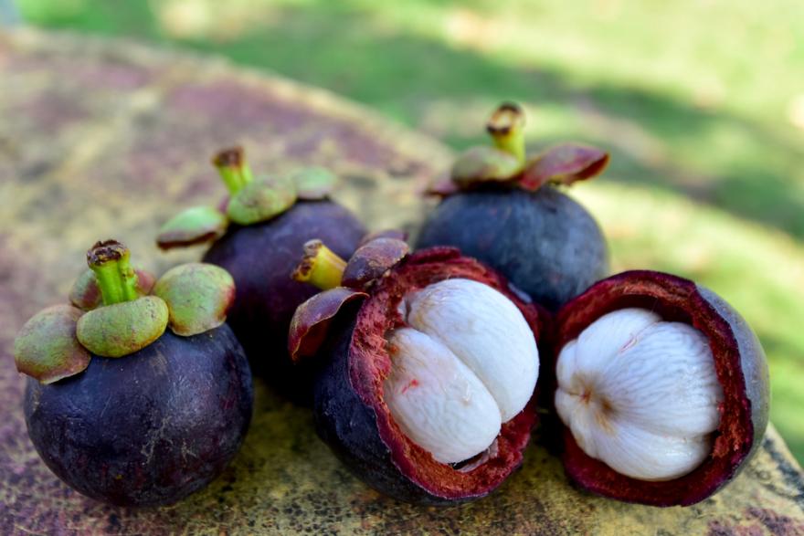 Voici les bienfaits de santé et de nutrition du mangoustan - Tendances ...