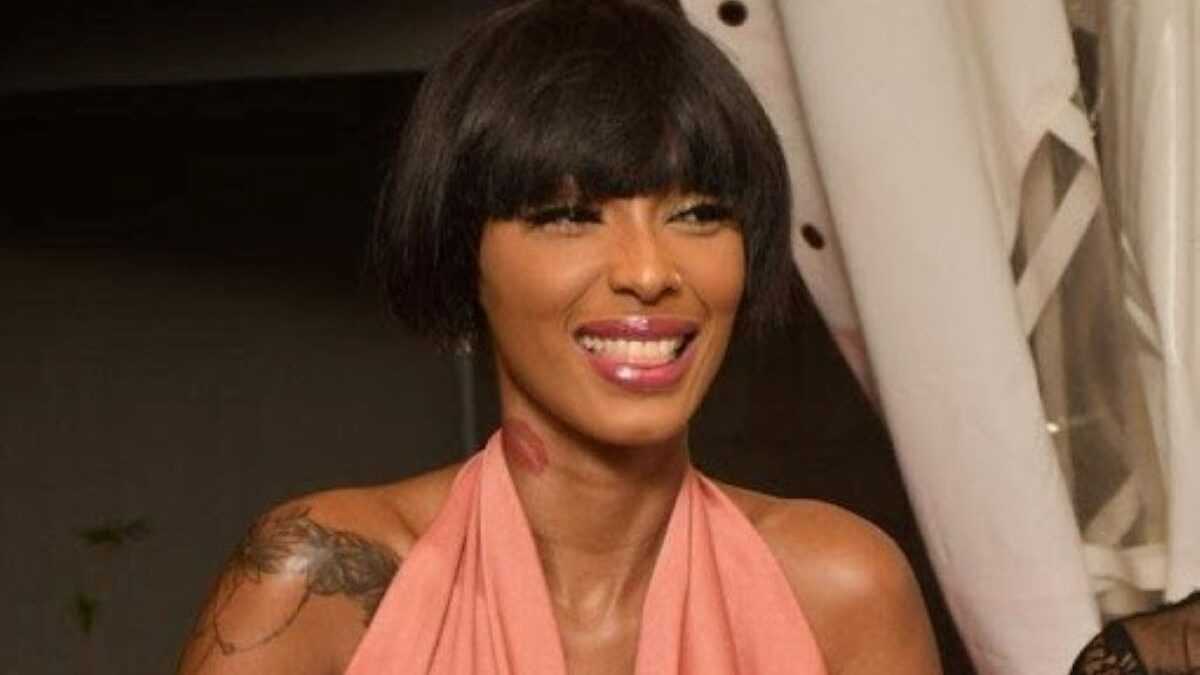 Sadia Ibrahim's Instagram, Twitter & Facebook on IDCrawl