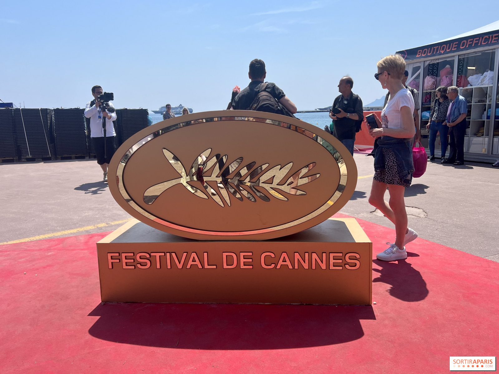 Le Festival de Cannes 2024 : Un Tourbillon de Cinéma, de Glamour et de ...